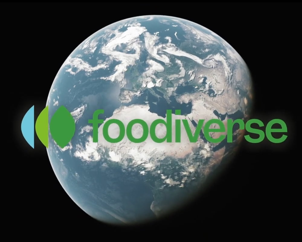 FOODIVERSE - aereal empresa de drones