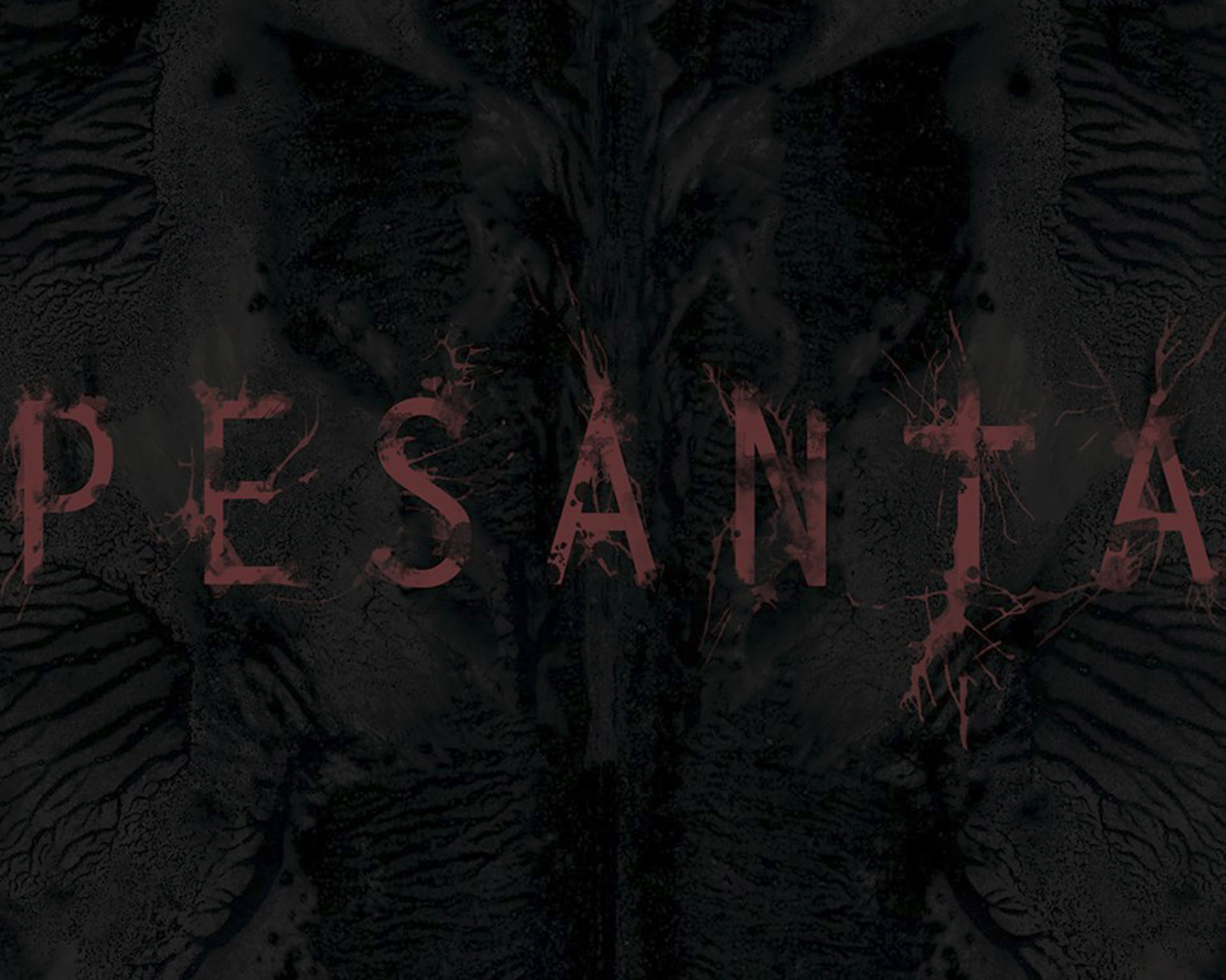 Pesanta - aereal empresa de drones